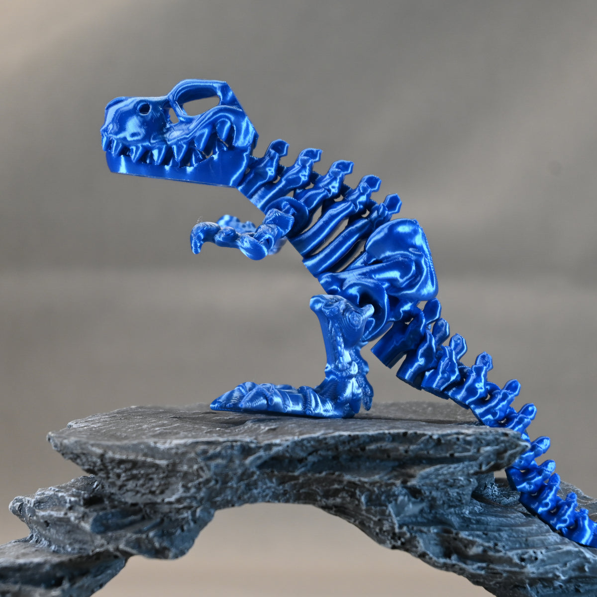 Skeleton T-Rex – Here B Dragons